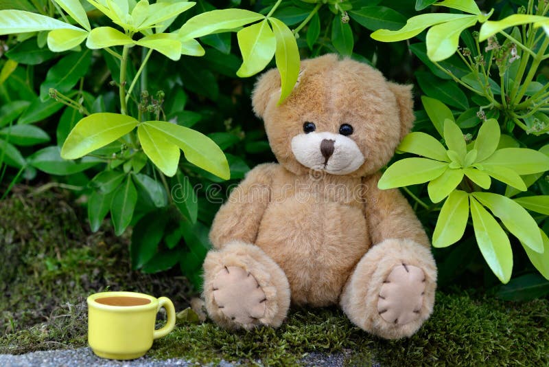 Tea Time for a Teddy Bear in the Nature. Stock Photo - Image of outdoor ...