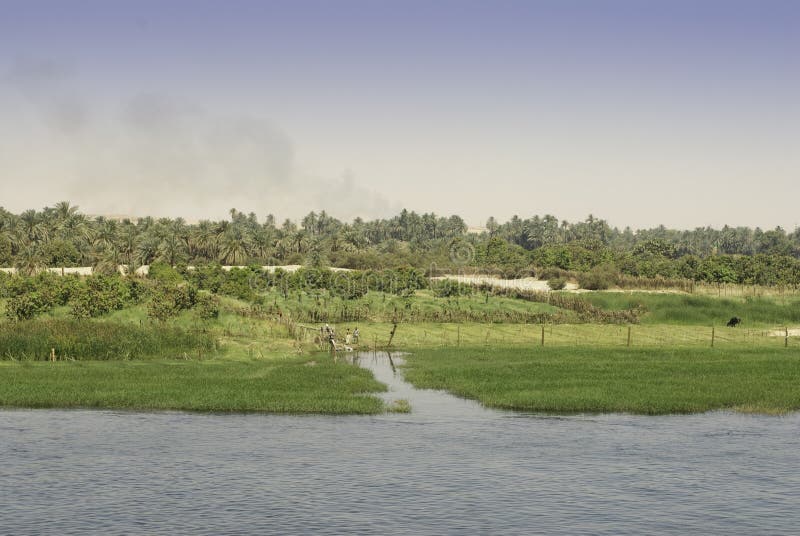 Nile in Egypt stock photo. Image of palm, flora, clouds - 11136156