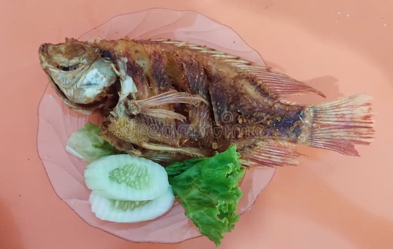 Nila fish stock photo. Image of invertebrate, cooking - 246883328