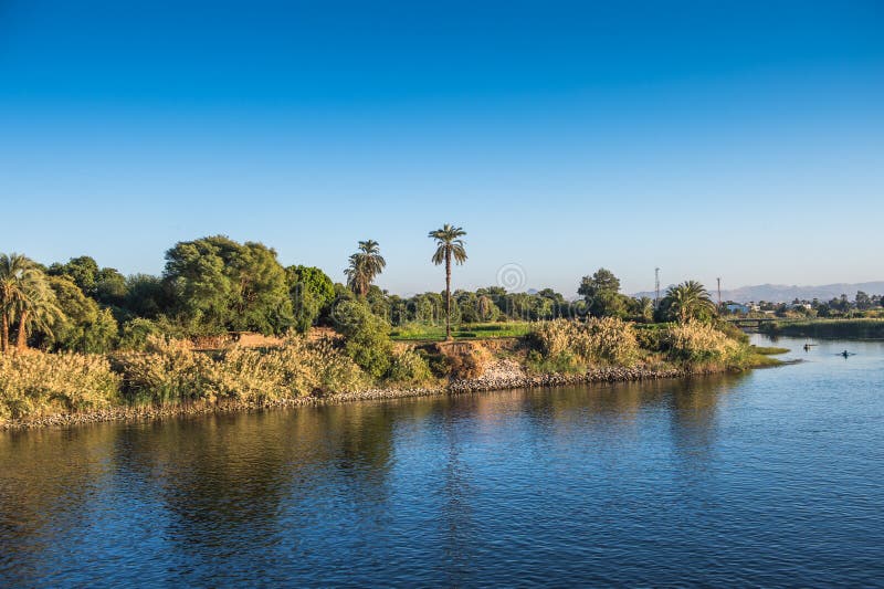 Nile. Egypt stock image. Image of arabian, palm, land - 49840575