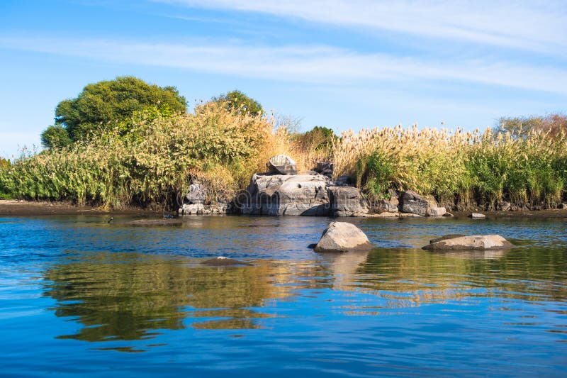 Nile. Egypt stock photo. Image of egypt, bark, boat, navigation - 49826712