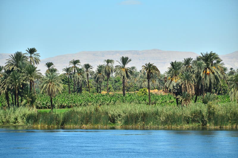 Nile river stock image. Image of riverside, river, desert - 21663353