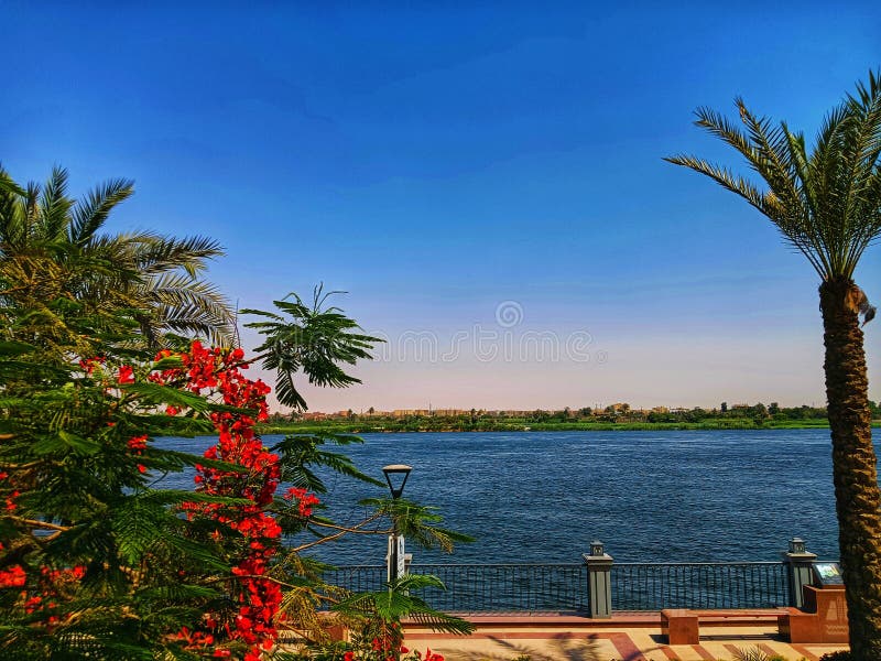 Nile River from Beni Suef City in Egypt Stock Image - Image of beni ...