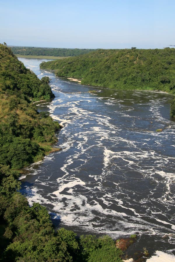Ugandan Nile River Shoreline Stock Photo - Image of outdoor, nile ...