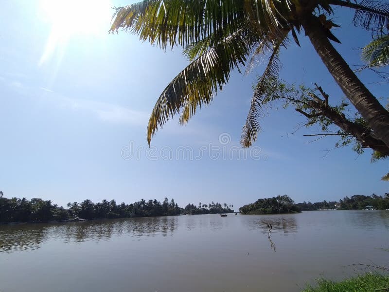 Nilwala river in Sri Lanka stock photo. Image of tree - 251620714