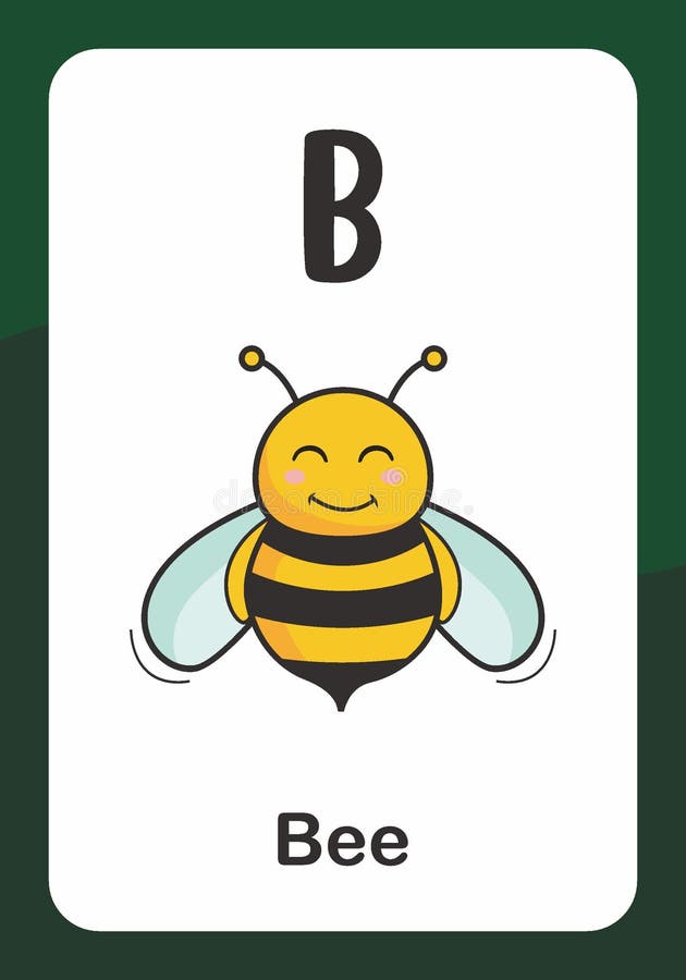 Nimal Alphabet Flash Card - B for Bee Stock Vector - Illustration of ...