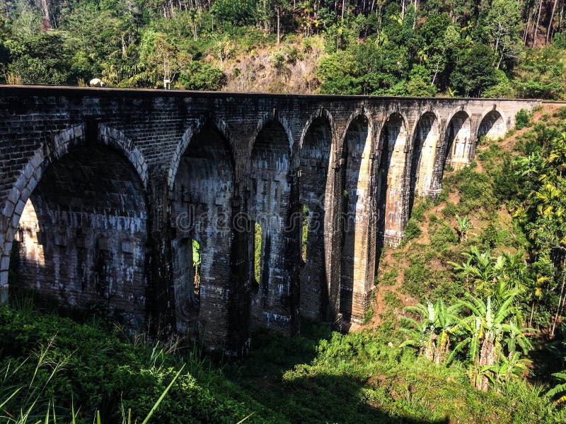 1,240 Badulla Stock Photos - Free & Royalty-Free Stock Photos from ...