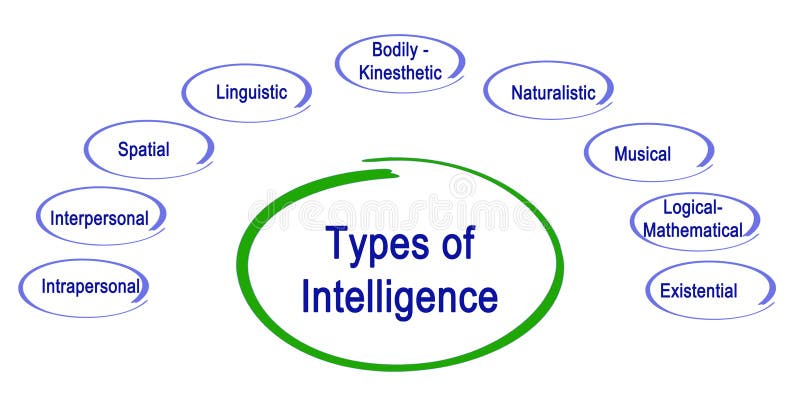 Types of Intelligence Outline Symbols Diagram Stock Vector ... Types of Intelligence Outline Symbols Diagram Stock Vector ...