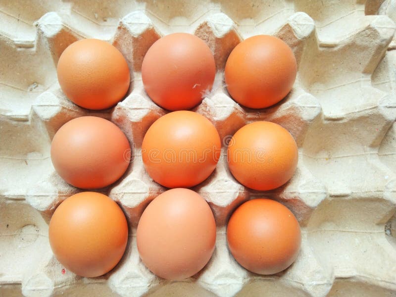 Nine Brown Eggs are Arranged in a Carton Tray. Stock Photo - Image of ...