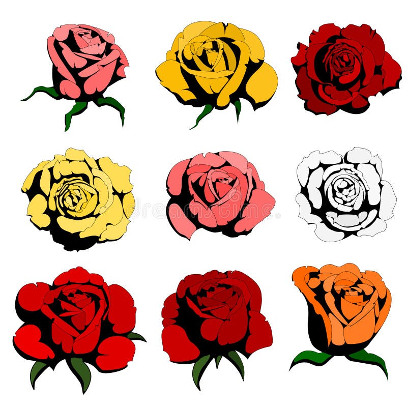 Nine color roses stock illustration. Illustration of isolated - 14232275