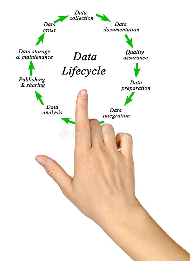 Components of Data Lifecycle Stock Image - Image of maintenance ...