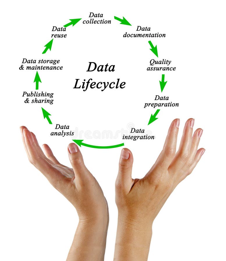 Components of Data Lifecycle Stock Image - Image of process, data ...
