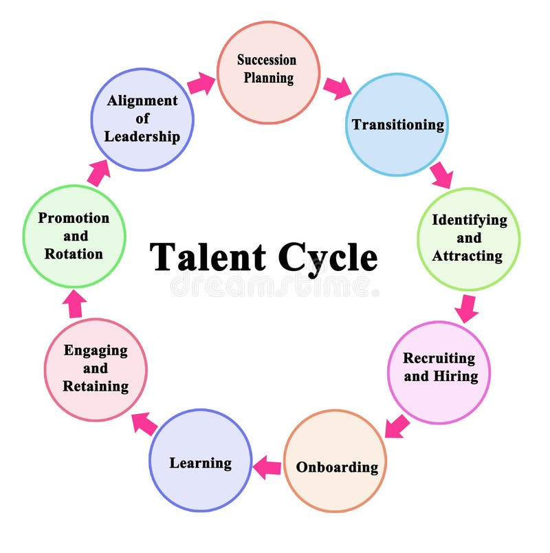 Components of Talent Management Stock Photo - Image of assess, concept ...