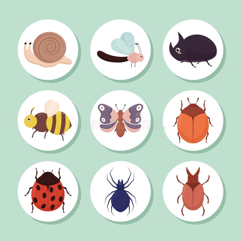 Nine Insects Stock Illustrations – 49 Nine Insects Stock Illustrations ...