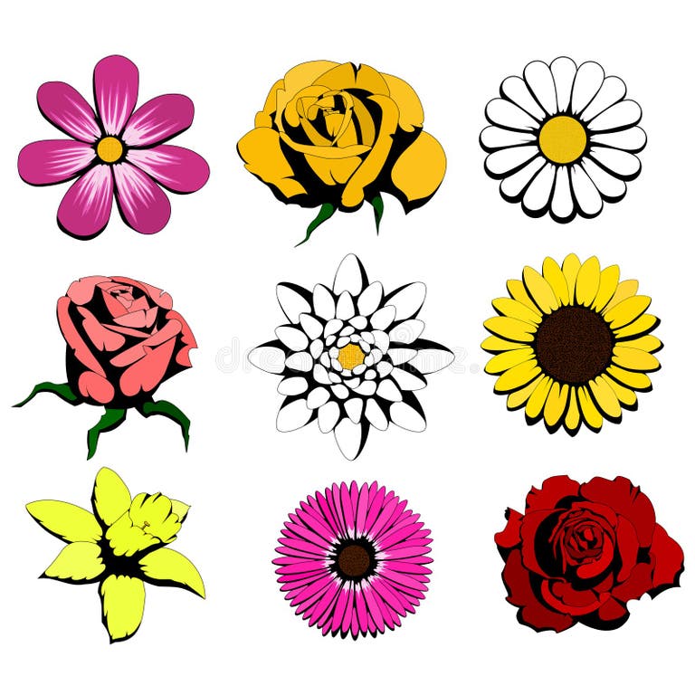 Nine flowers stock vector. Illustration of beauty, aster - 14200768