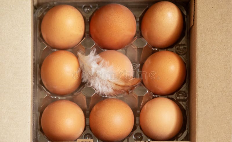 Nine Fresh Eggs in a Corrugated Cardboard Box with a Feather Stock ...