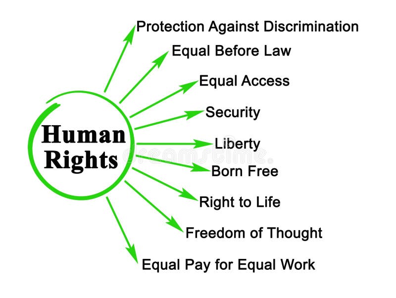 30 Human Rights List