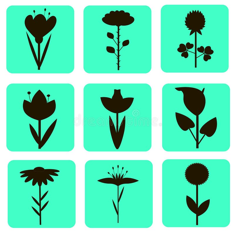 Nine Icons Silhouettes of Flowers in Turquoise Squares Stock Vector ...