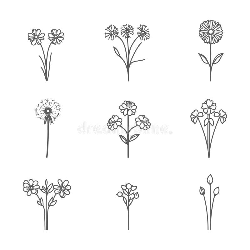 Collection of Nine Simple Line Art Flower Illustrations Stock Vector ...