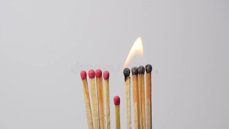 Nine Matchsticks Aligned Laterally Being Accessed and Burned Sequence ...