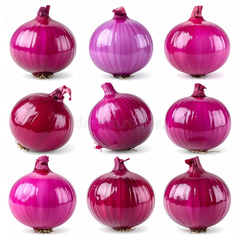 Nine Red Onions on White Background Stock Illustration - Illustration ...
