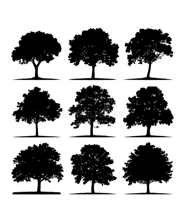 Spreading Canopies Stock Illustrations – 17 Spreading Canopies Stock ...