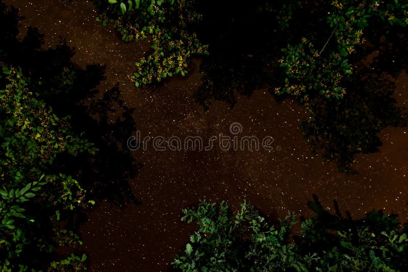 Ninight Sky Stock Photos - Free & Royalty-Free Stock Photos from Dreamstime