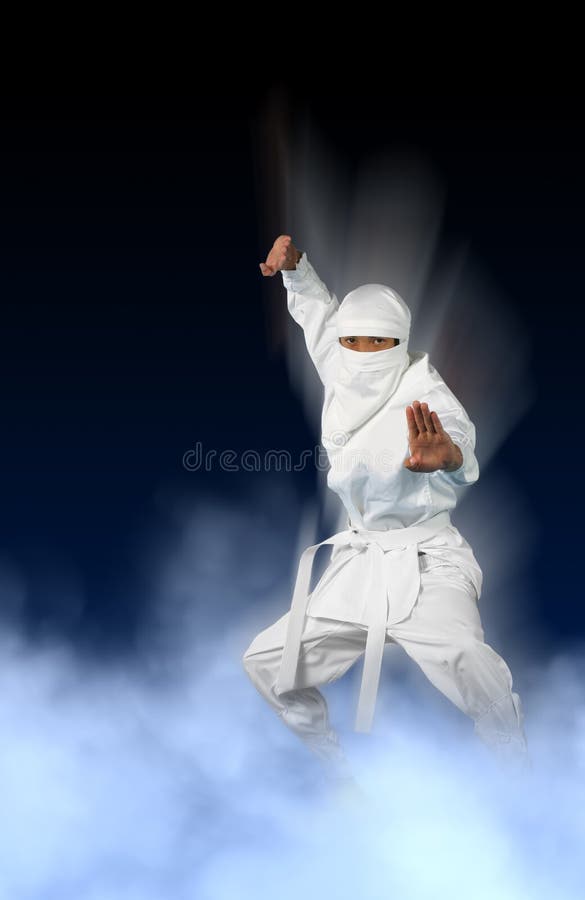 Ninja blanco imagen de archivo. Imagen de asesino, humo - 19040389