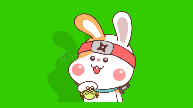 Ninja Bunny Winking with Heart - Green Screen Animation Stock Video ...