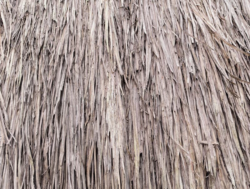 Nipa Hut Stock Images - Image: 22625004 Nipa Hut Stock Images - Image: 22625004