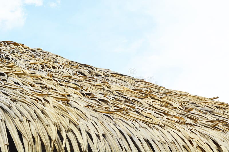 Nipa leaves roof stock photo. Image of gable, heat, design - 46097082
