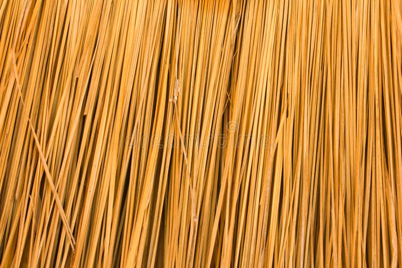 Pattern of Nipa palm stock image. Image of leaf, closeup - 25346861