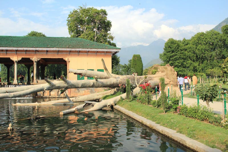 Nishat Bagh. editorial photography. Image of park, kashmir - 29400322