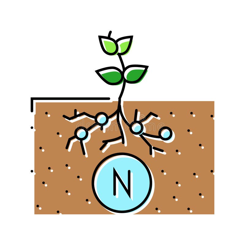 Nitrogen Fixation Environmental Color Icon Vector Illustration Stock ...