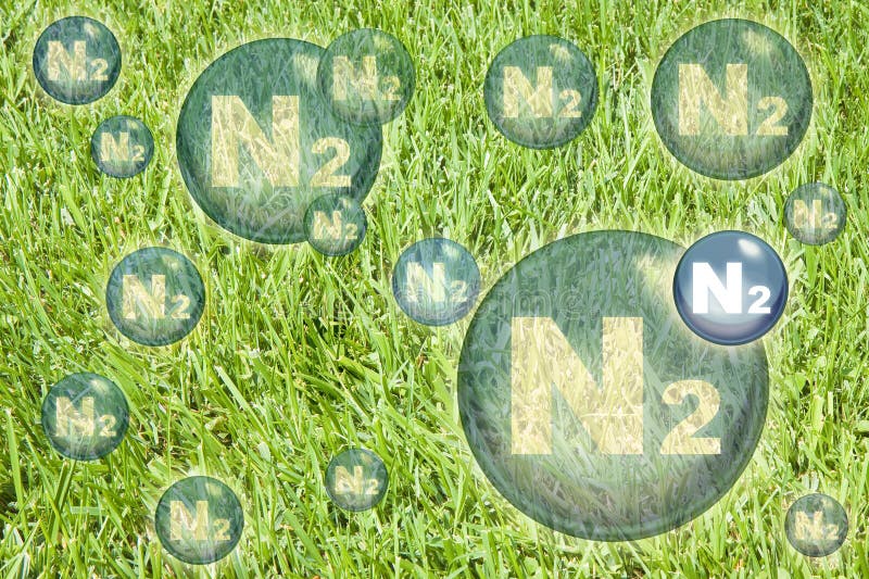 Nitrogen the Most Important Fertilizer for the Lawn - Concept Stock ...