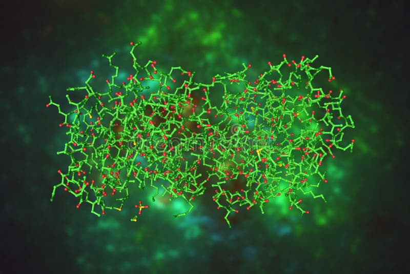 Nitrogen Regulatory Bacterial Protein IIa-nitrogen. Molecular Model on ...