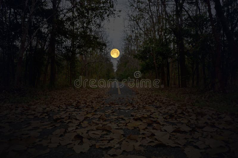 Lua Cheia Sobre A Estrada Asfaltada Imagem de Stock - Imagem de noite ...