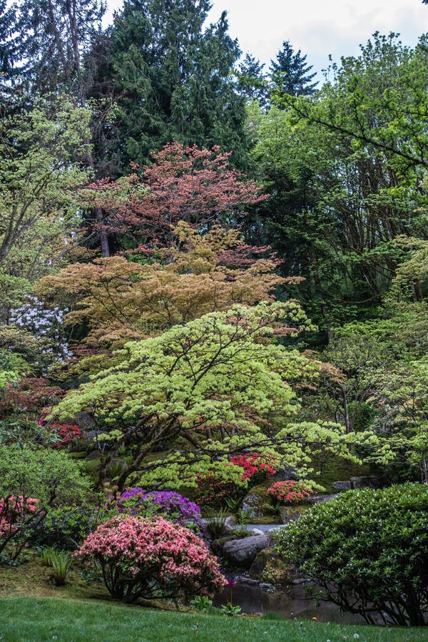 Niveles del color 3 imagen de archivo. Imagen de flores - 92902161