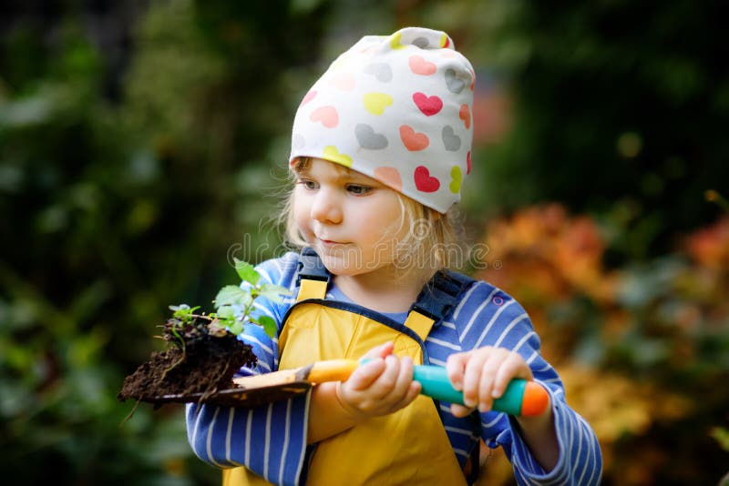 Niña Pequeña Adorable Sosteniendo Palas En El Jardín Con Plantas Verdes