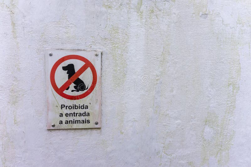 No animals allowed sign. stock image. Image of petfriendly - 314301899