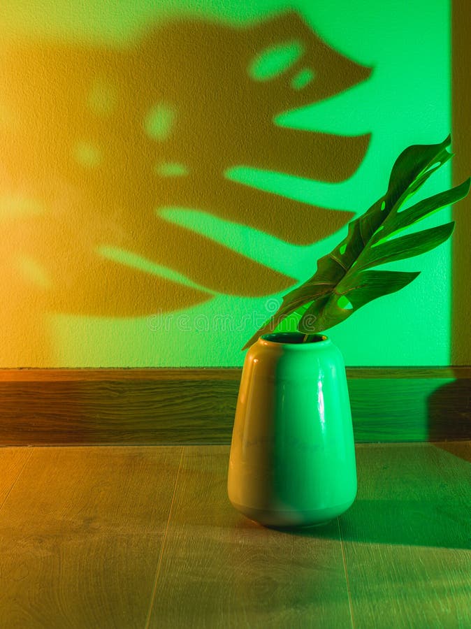 NO.1 Atificial Plastic Leaf Play Color Light Stock Photo - Image of ...