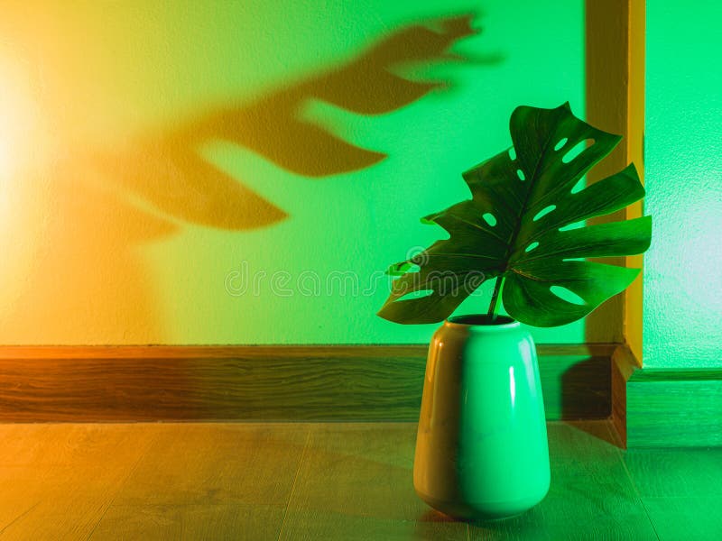 NO.2 Atificial Plastic Leaf Play Color Light Stock Image - Image of ...