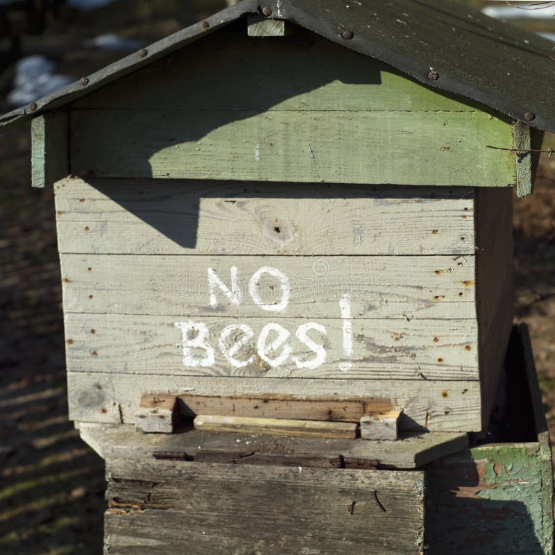 No bees in beehive stock photo. Image of empty, surface - 144768274