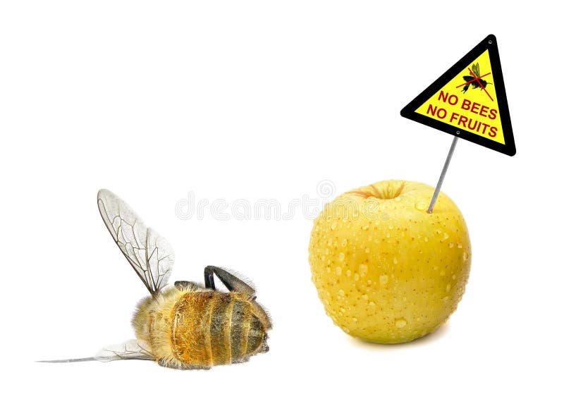 No bees - No Fruit stock image. Image of plum, entomology - 125020537