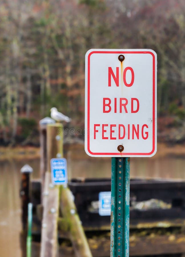 No Bird Feeding sign stock image. Image of blurred, warning - 48752243