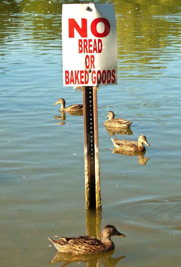 No Bread or Baked Goods Sign Stock Photo - Image of feeding, protection ...