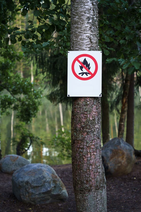 No campfire sign on a tree stock image. Image of greenery - 341835691