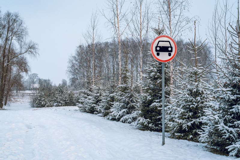 No Cars Allowed Sign on Winter Road Stock Photo - Image of noentry ...