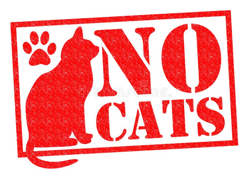 No cats stock illustration. Illustration of cats, warning - 12899221