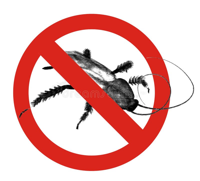 Sign: No cockroach here! stock vector. Illustration of public - 18350178